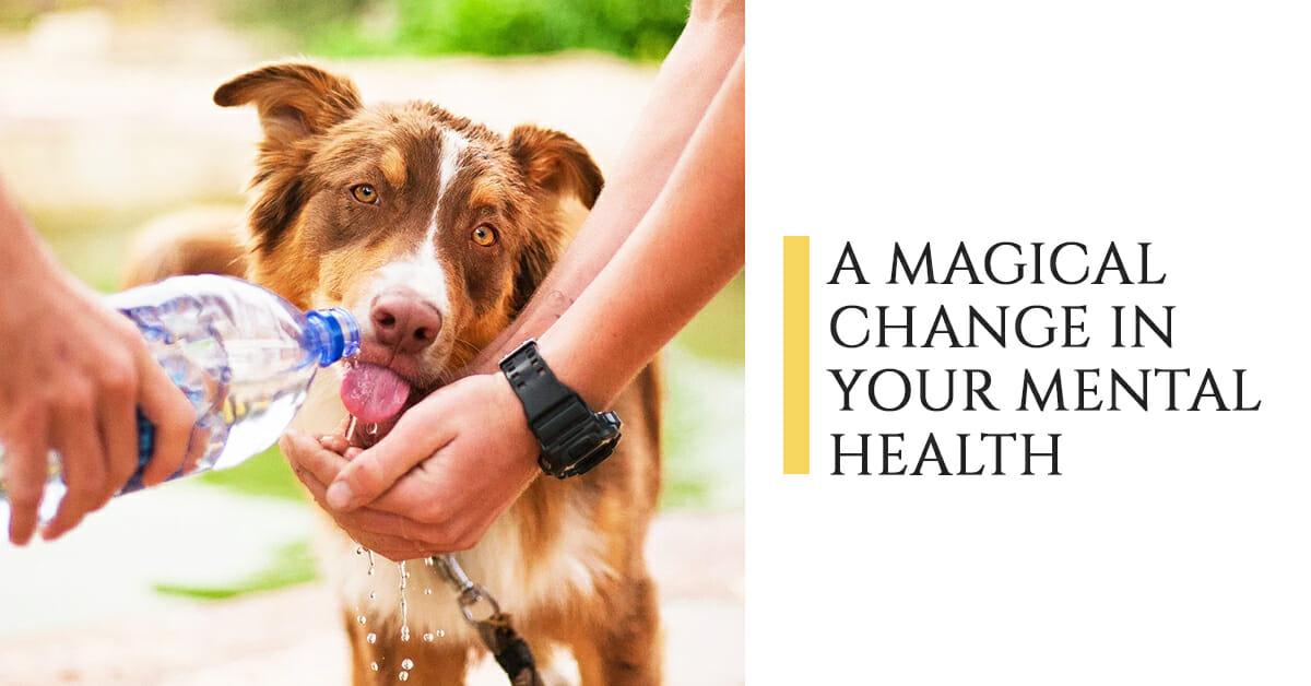 How To Be A Good Human Being In Life And Why?