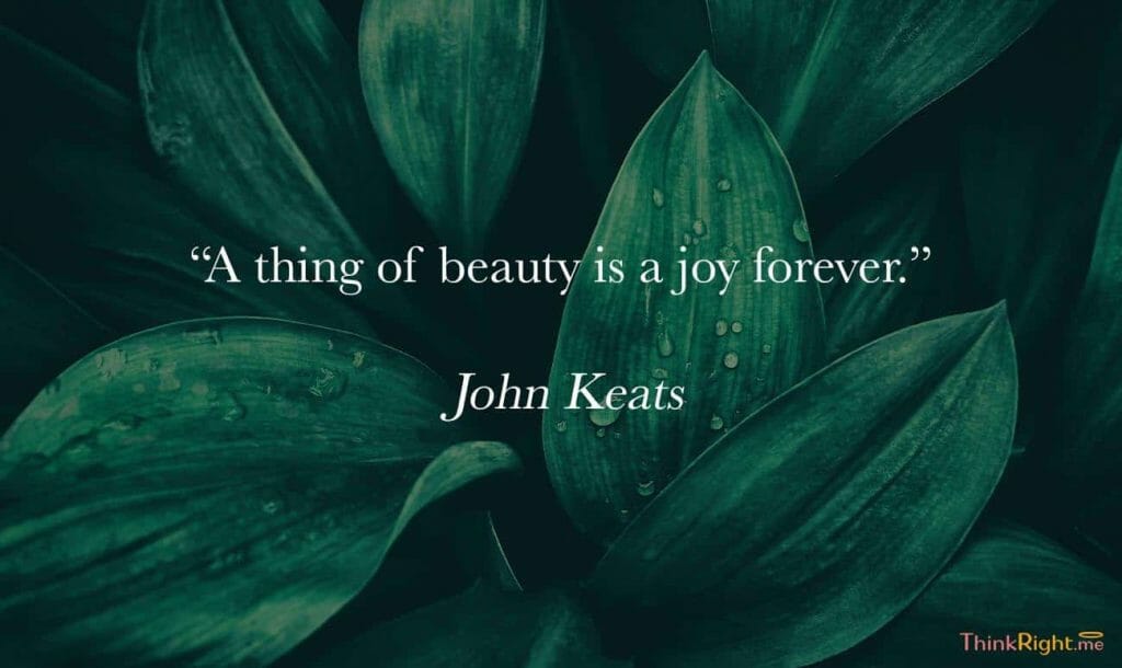 10 Quotes That Will Bring A Smile To Your Face