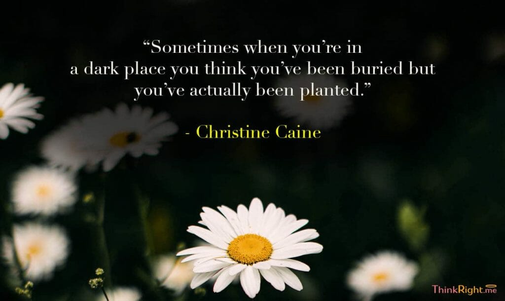 10 Inspiring Quotes To Reach Your Potential Each Day