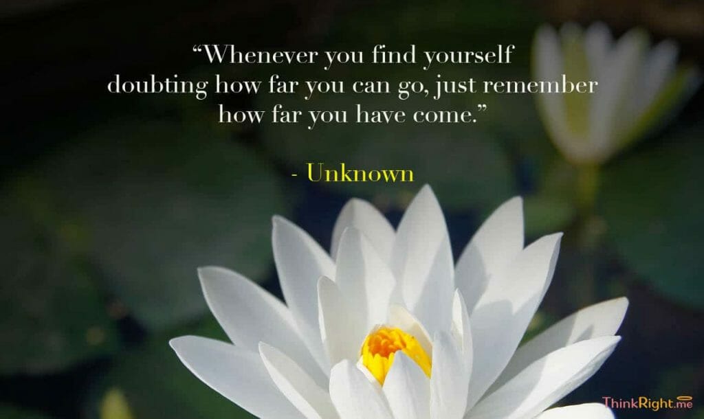 10 Inspiring Quotes To Reach Your Potential Each Day