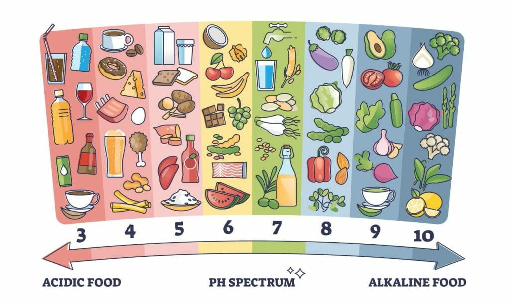 How To Balance Your Body’s pH Level Through Food?